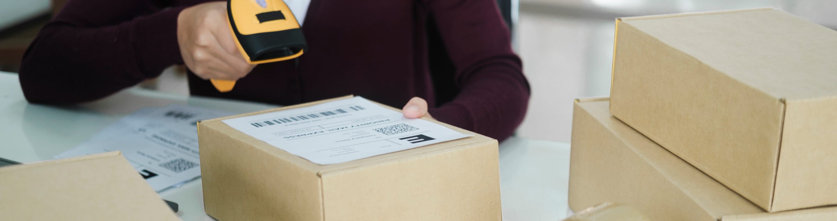 Reptiles2You | The BEST way to Ship Your Reptiles